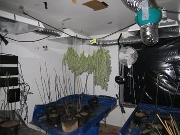 Narcotics/Vice Division | CCPD Blotter