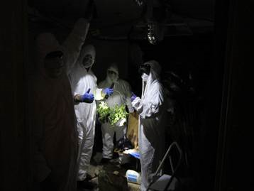 Narcotics/Vice Division | CCPD Blotter