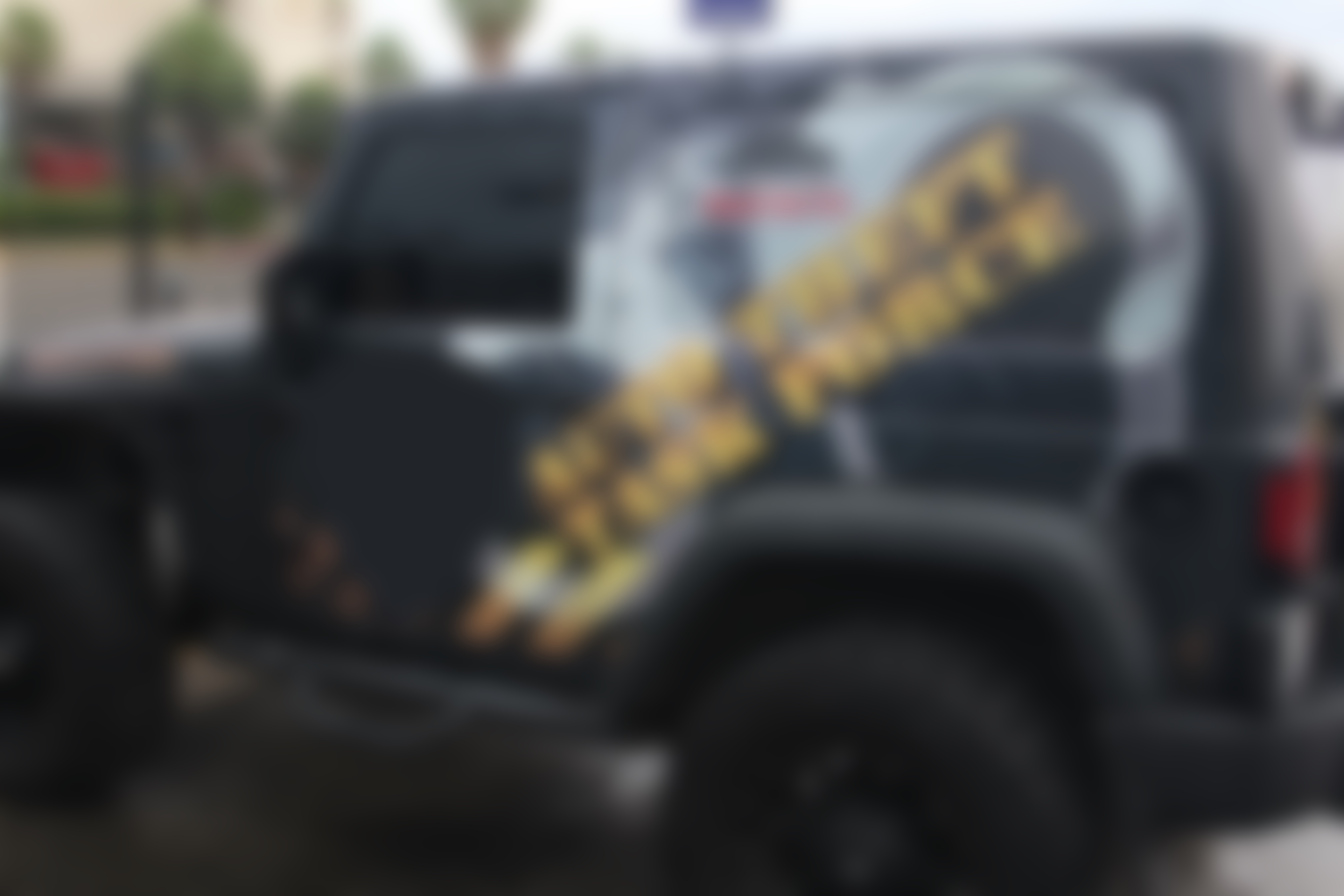CAR SHRINK WRAP SCAM | CCPD Blotter