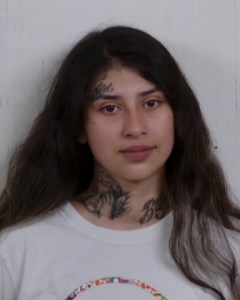 Social Media Assault Video | CCPD Blotter